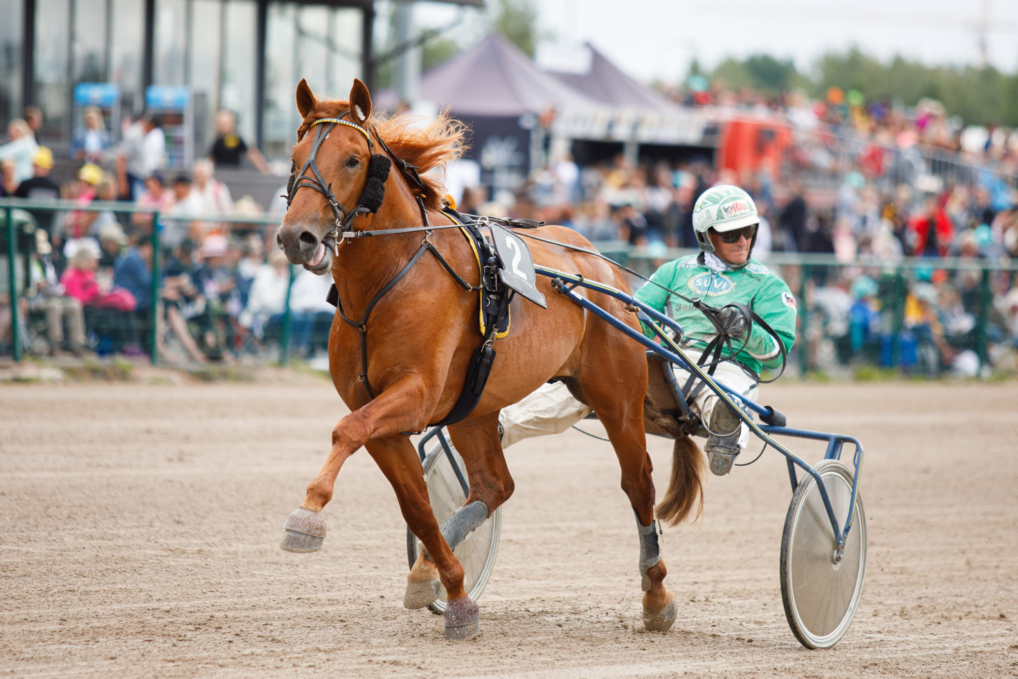V.G. VOITTO 23.3A - Stall Blombacke